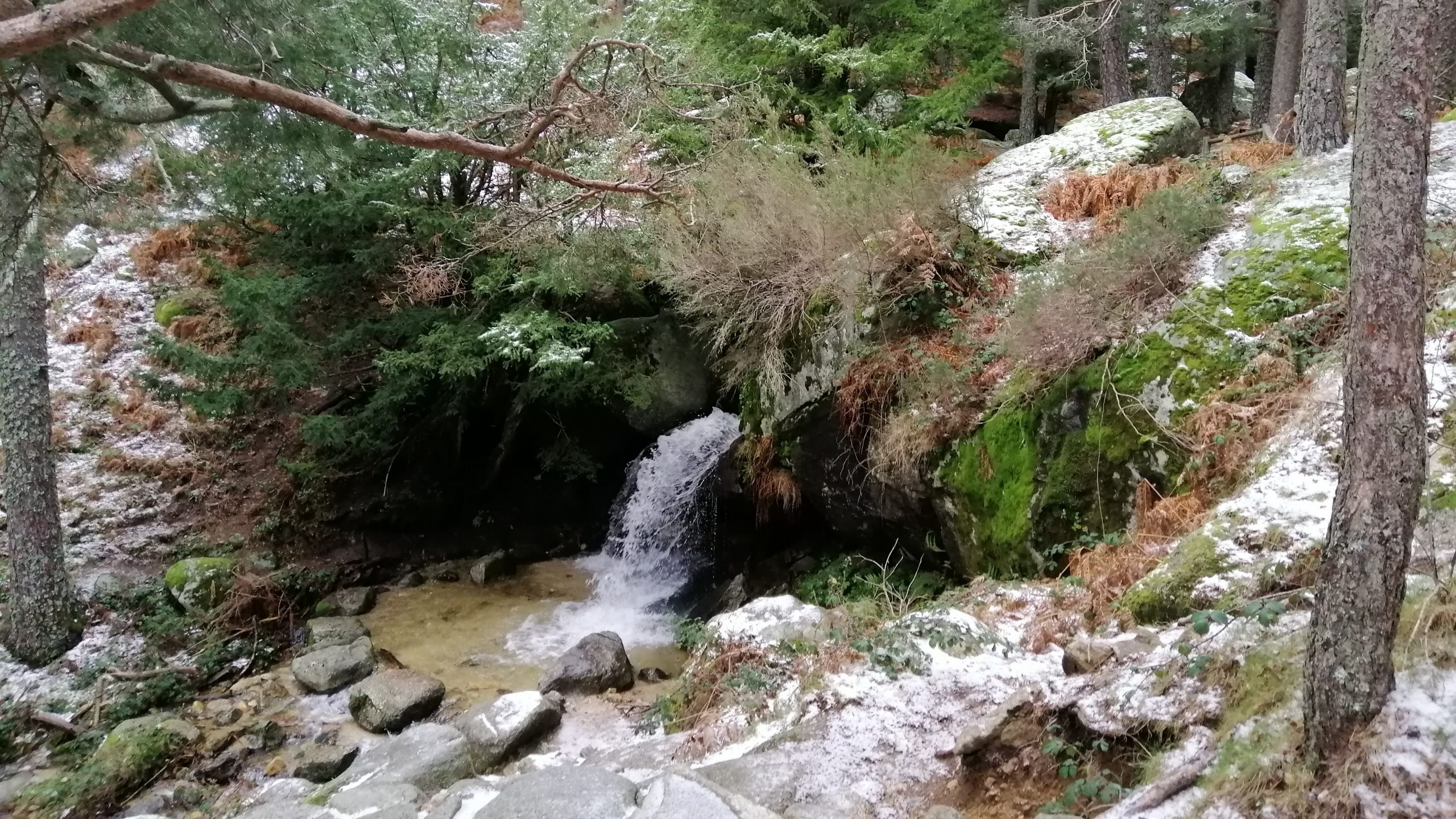 Infantil - Valle de la Fuenfría • Punta de las Olas